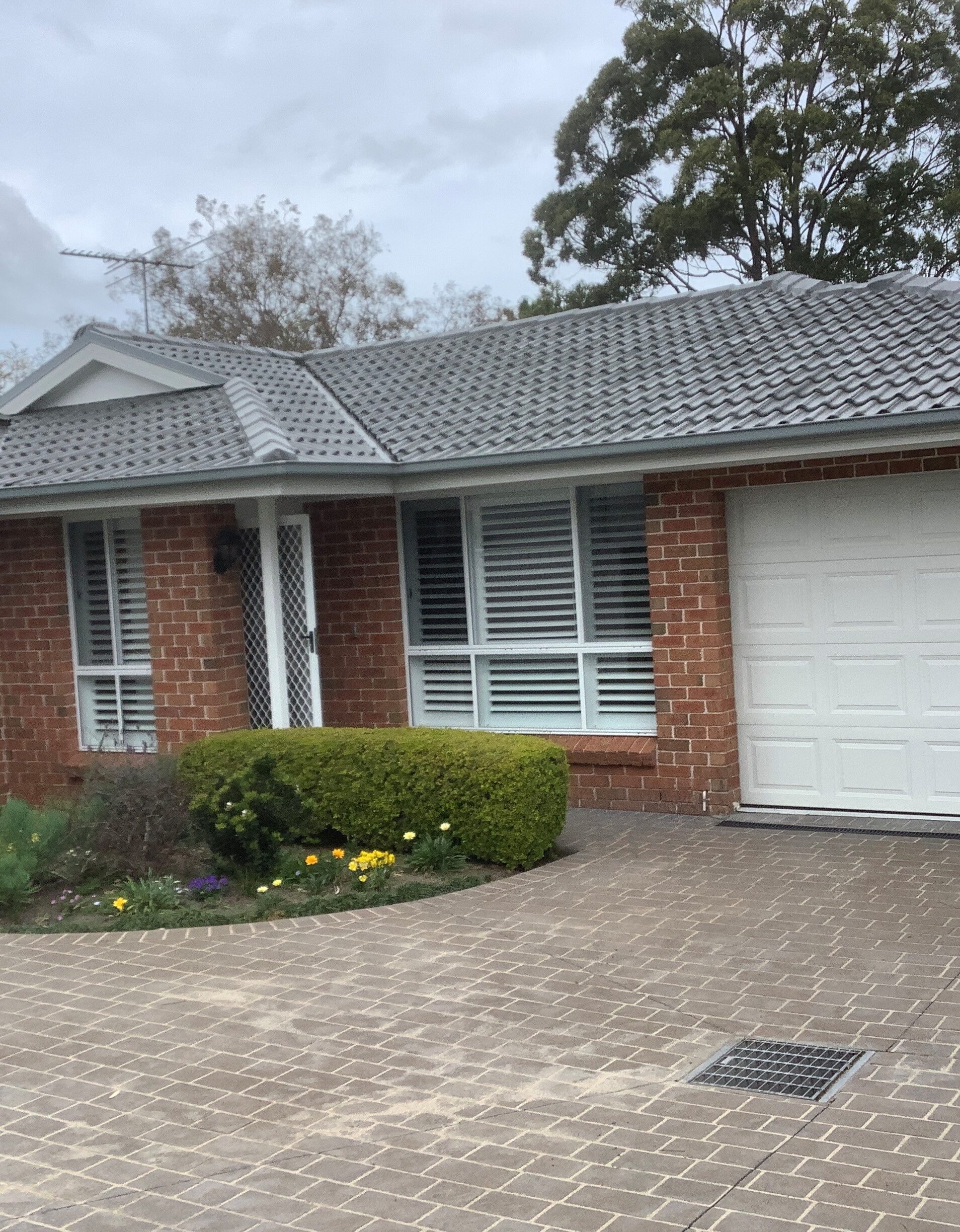 Shop Reports - Absolute Property Inspections - Building & Pest Inspections